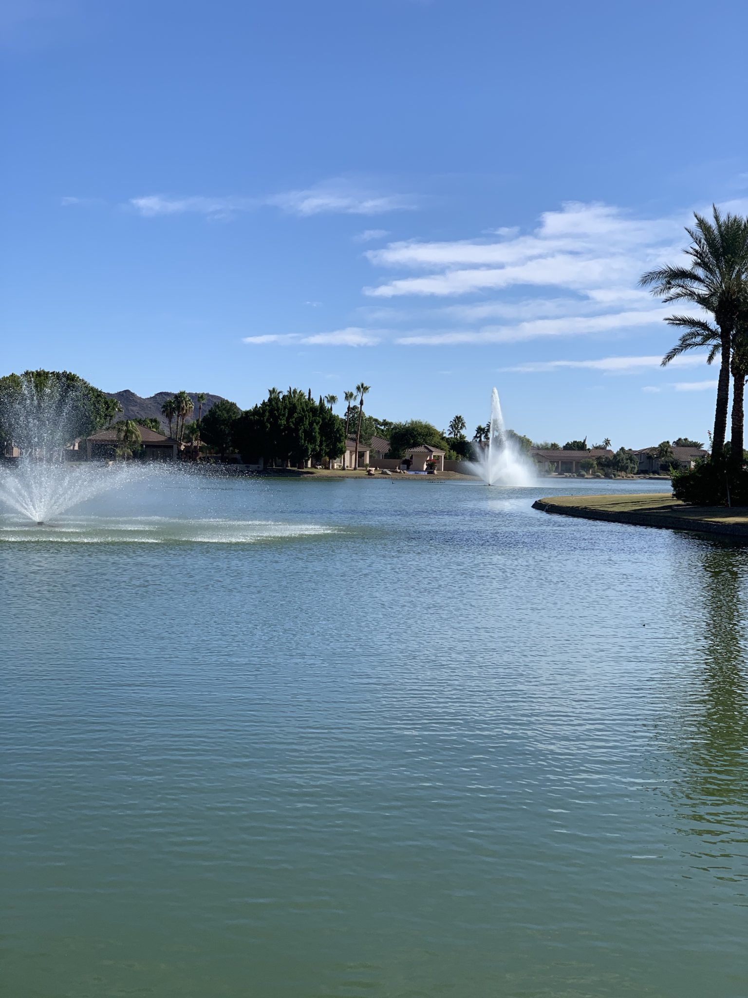 Glendale Arizona Arrowhead Ranch Homes with The Rigo Team